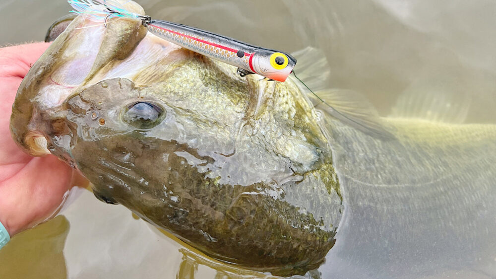 Storm Rattlin’ Chug Bug Review - Wired2Fish