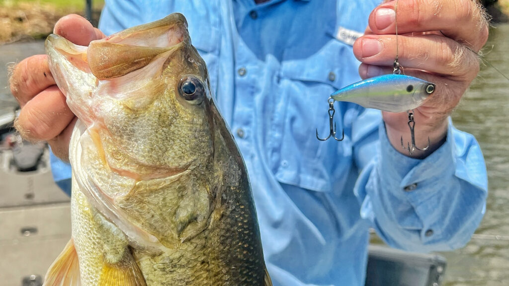 Yo-Zuri Rattl’n Vibe One Knock Lipless Crankbait Review - Wired2Fish