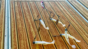 Alabama Rig | How to Fish and Rig It - Wired2Fish