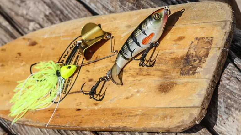 3 Tricks to Choose the Perfect Topwater Lure - Wired2Fish