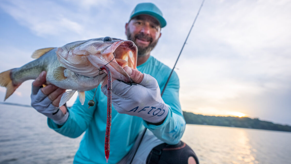 How to Tokyo Rig Pressured Ledge Bass - Wired2Fish