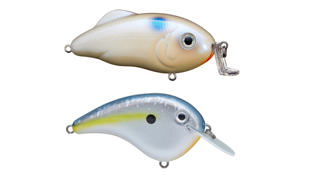 Strike King Hybrid Hunter and Chick Magnet Crankbait Giveaway Winners ...