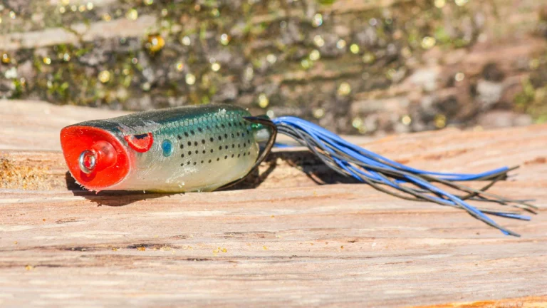 How to Pick the Right Frog for Any Situation - Wired2Fish