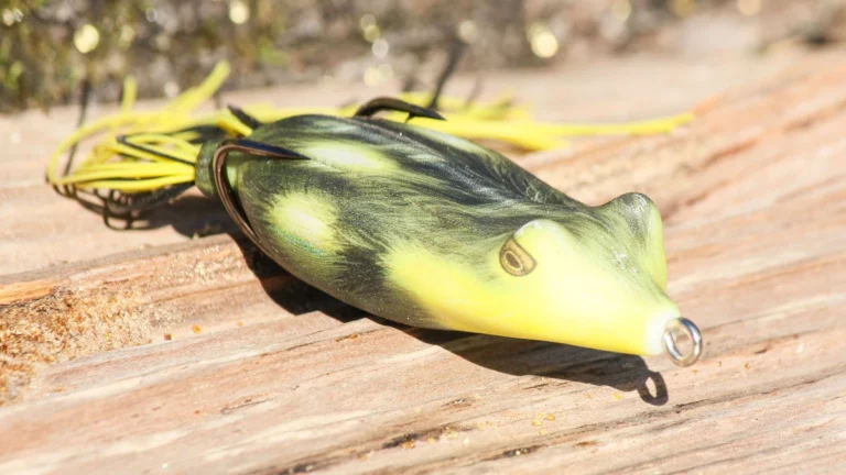 How to Pick the Right Frog for Any Situation - Wired2Fish