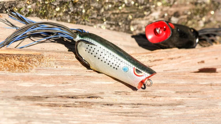 How to Pick the Right Frog for Any Situation - Wired2Fish