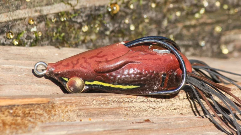 How to Pick the Right Frog for Any Situation - Wired2Fish