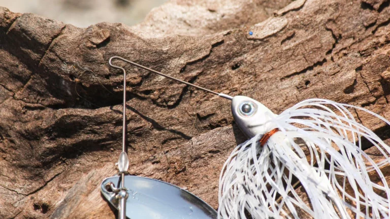 How to Identify a High-Quality Spinnerbait - Wired2Fish
