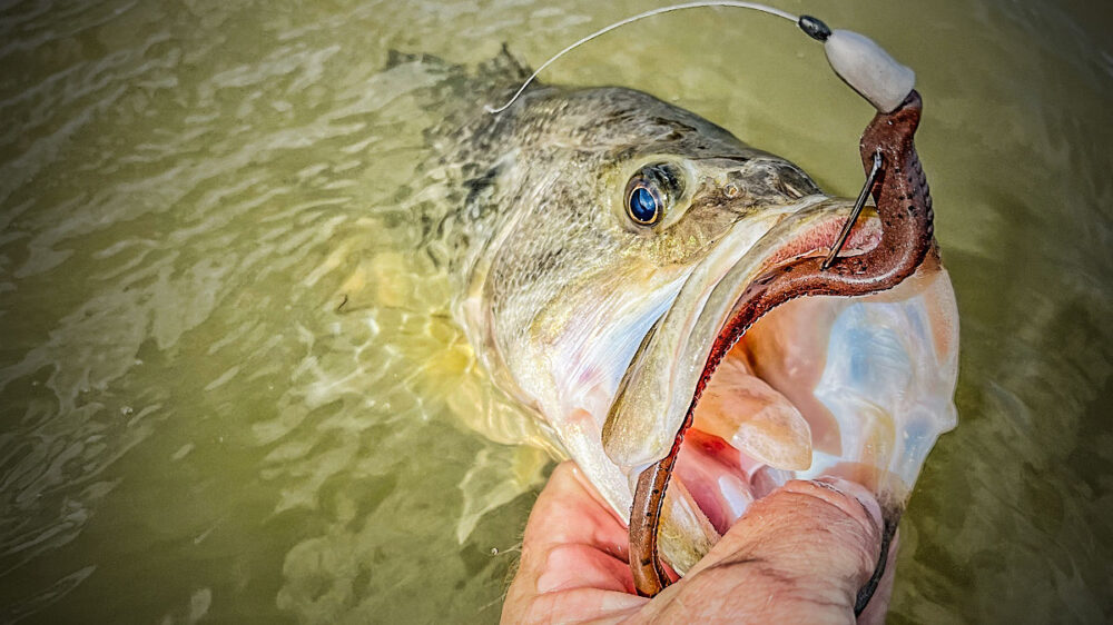 12 Alternative Ways to Rig a Floating Worm - Wired2Fish