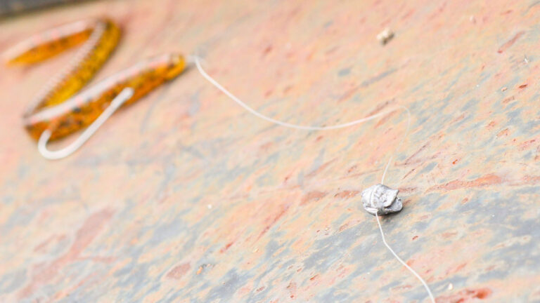 12 Alternative Ways to Rig a Floating Worm - Wired2Fish