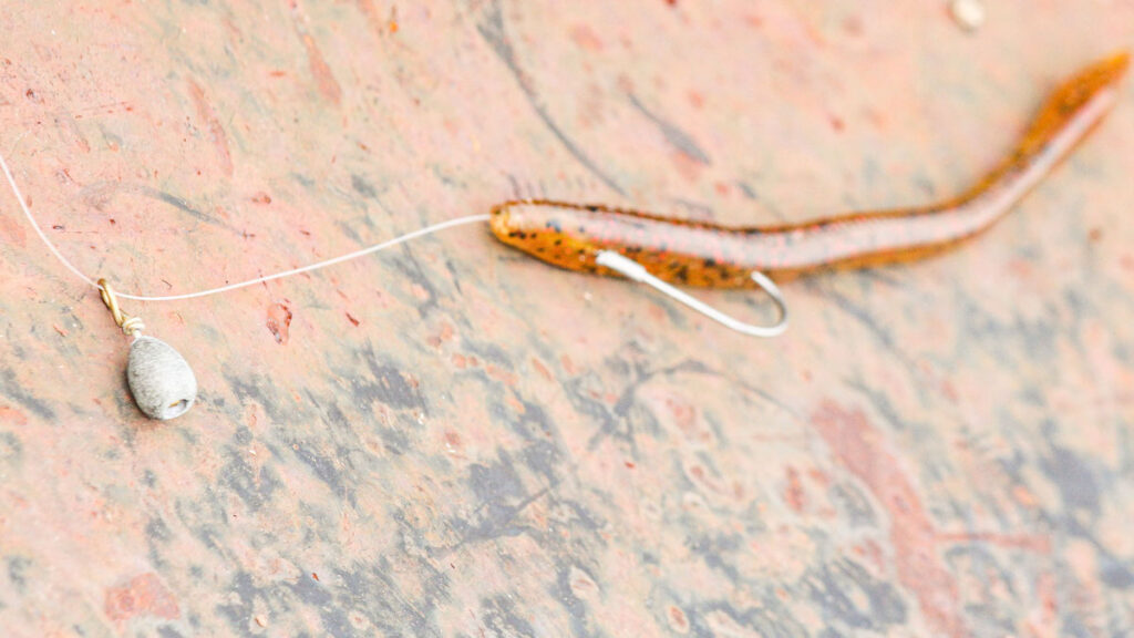 12 Alternative Ways to Rig a Floating Worm - Wired2Fish