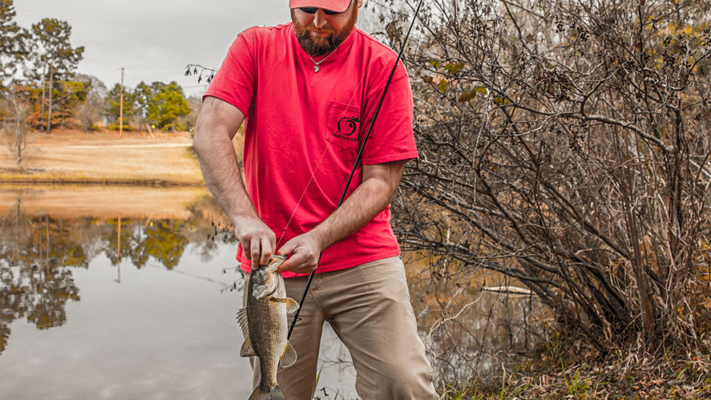Largemouth Bass | A Comprehensive Species Guide - Wired2Fish