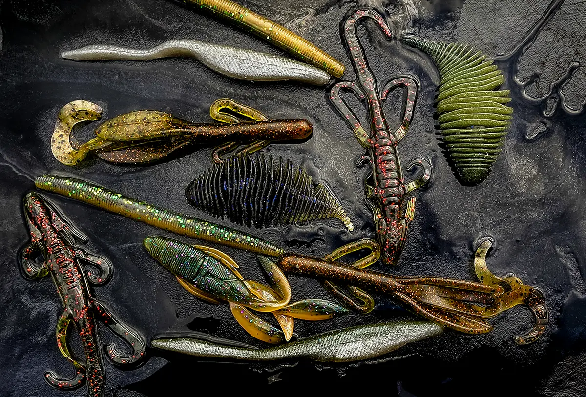 The Carolina Rig | How to Rig and Fish - Wired2Fish