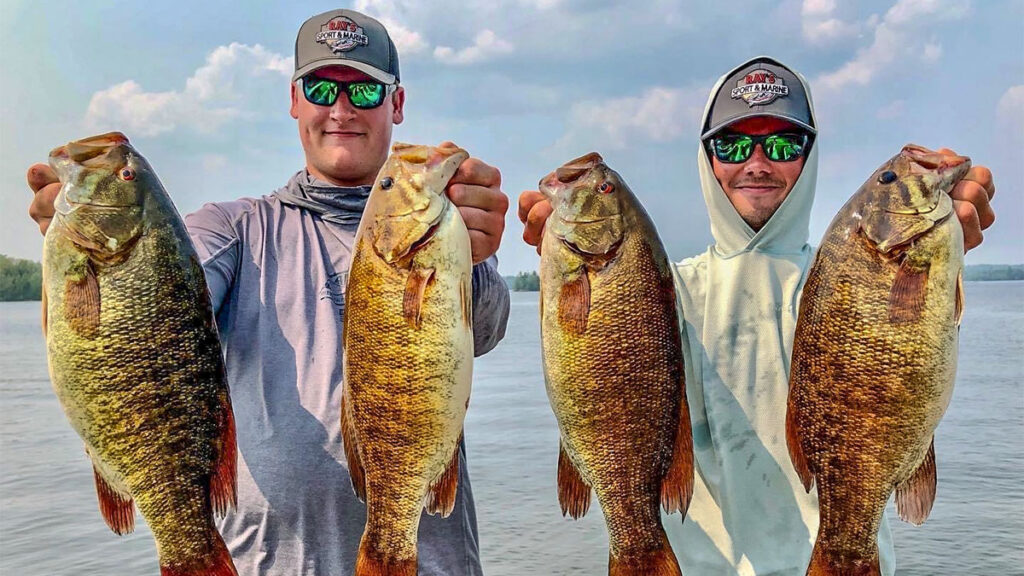 Smallmouth Bass | A Comprehensive Species Guide - Wired2Fish