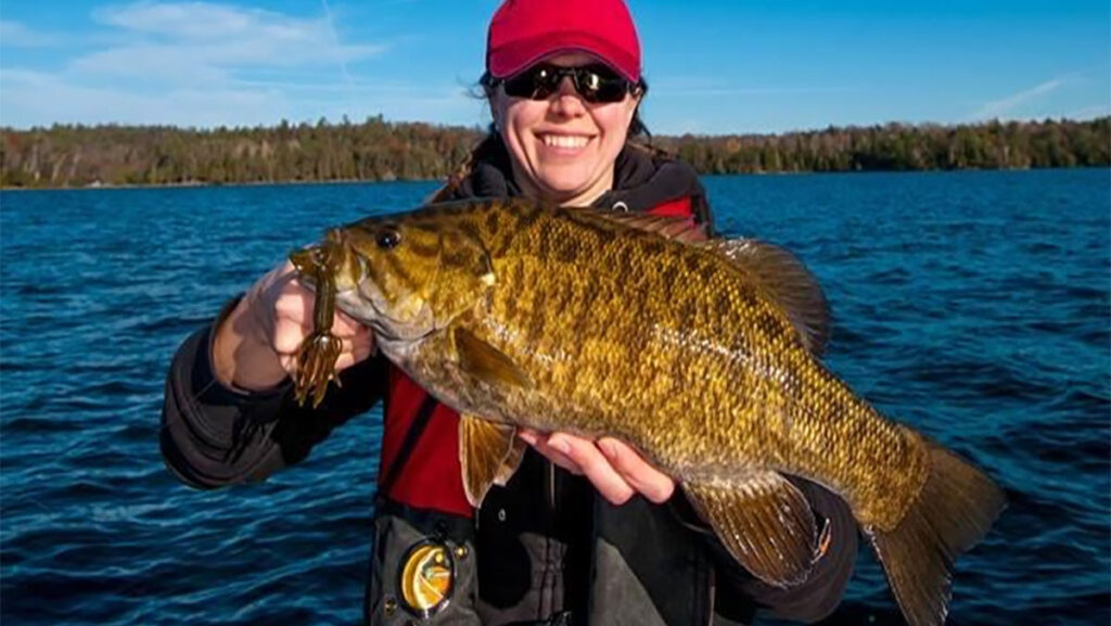 Smallmouth Bass | A Comprehensive Species Guide - Wired2Fish