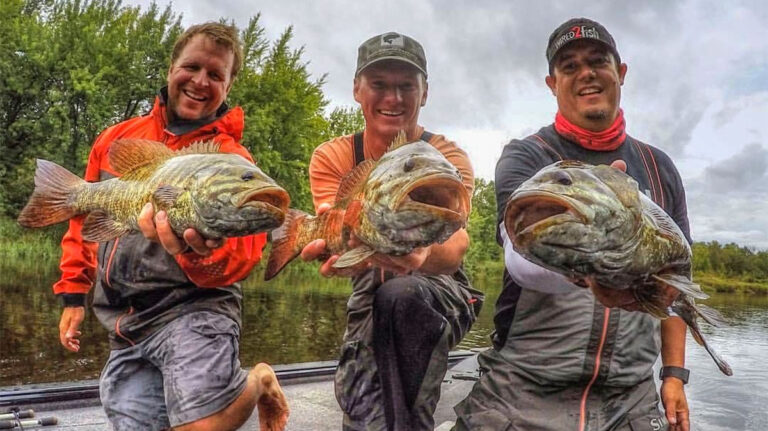 Smallmouth Bass | A Comprehensive Species Guide - Wired2Fish
