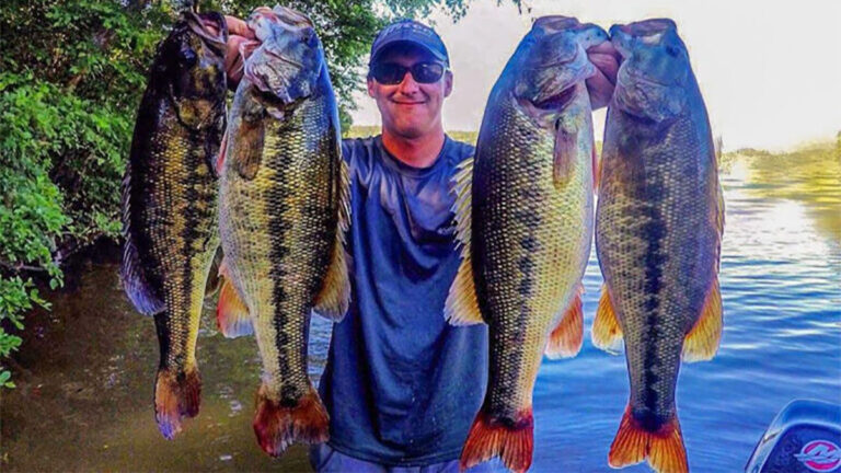 Spotted Bass | A Comprehensive Species Guide - Wired2Fish