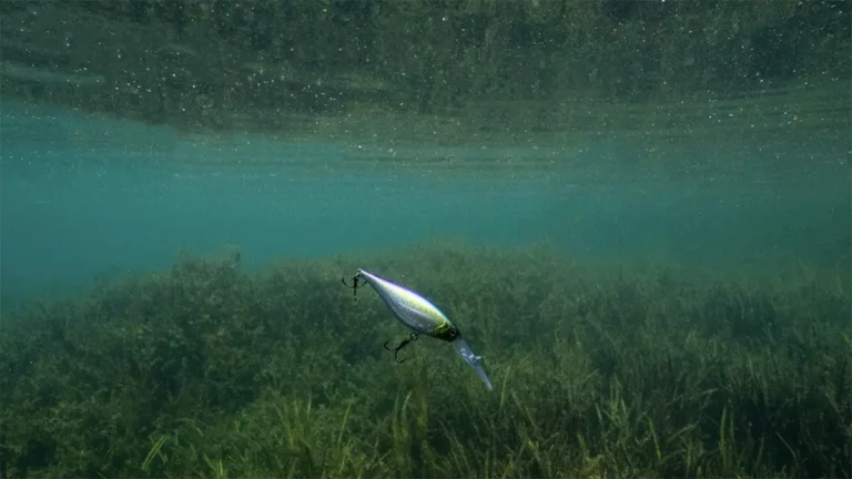 Shimano Launches New Freshwater Hard Lures - Wired2Fish