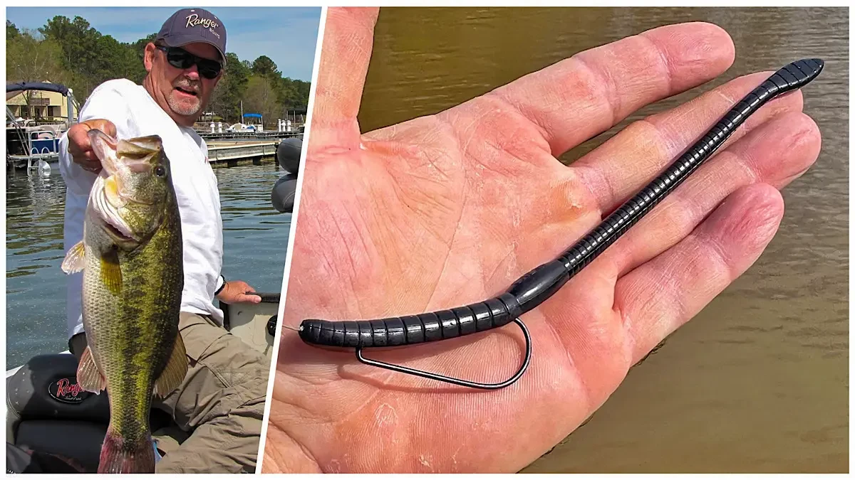 How To Hook A Bass Worm Angling Journal How To Hook A Bass Worm Angling Journal
