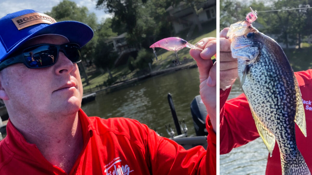 Trolling Crankbaits for Crappies | A Simple Guide - Wired2Fish