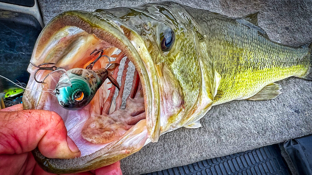 When to Make a Splash in Fishing - Wired2Fish