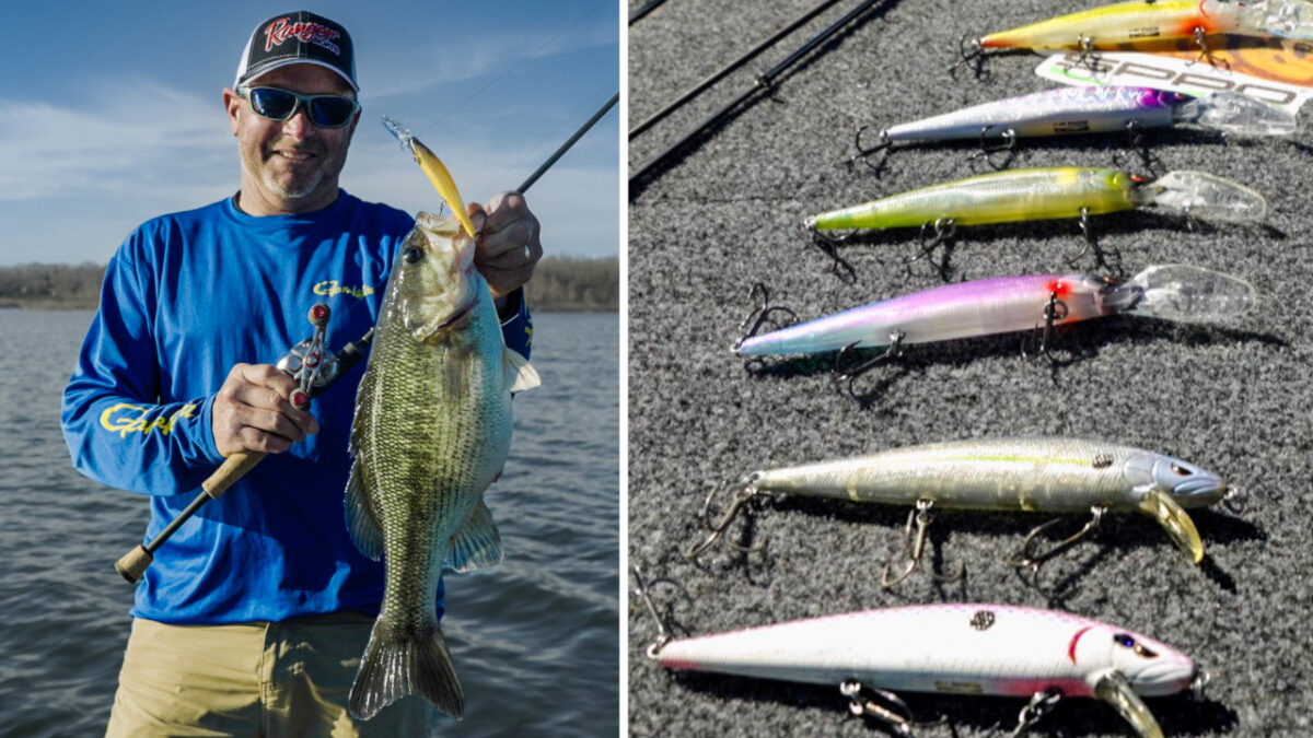 How to Fish Jerkbaits | Expert Advice from Mike McClelland - Wired2Fish