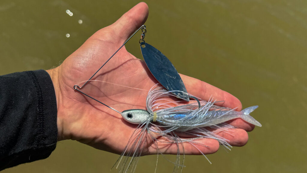Zoom Shimmer Shad Review - Wired2Fish