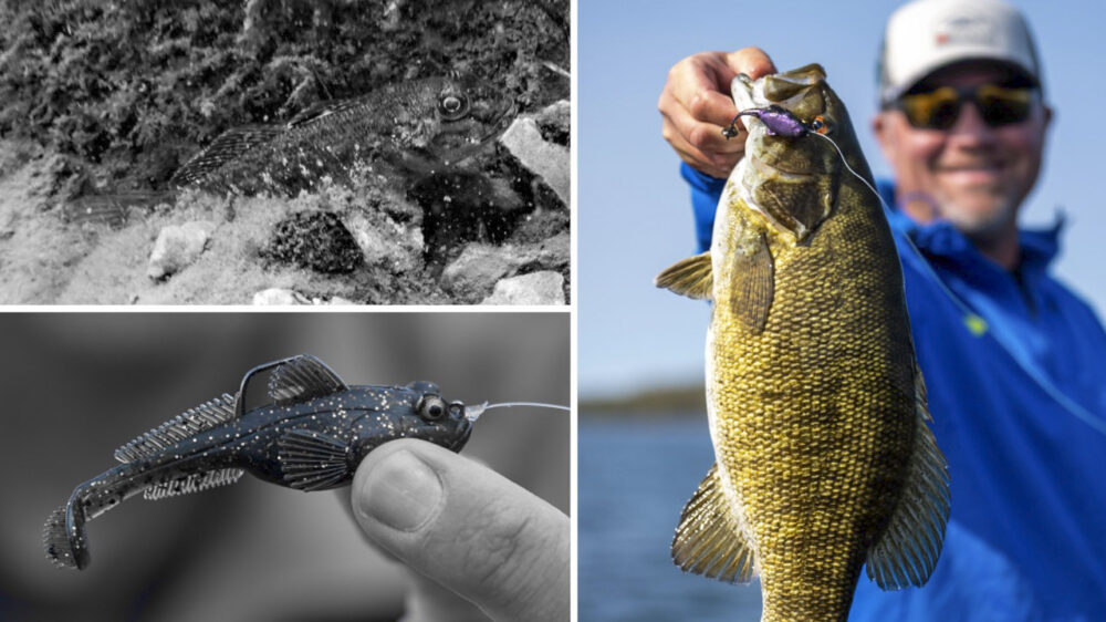 How to Fish the Z-Man Gobius Swimbait - Wired2Fish