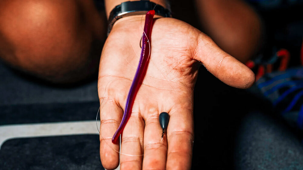 These 5 Baits Were the Biggest Tournament Winners of 2024 - Wired2Fish