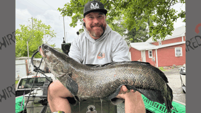 Record Snakehead Taken in Maryland - Wired2Fish