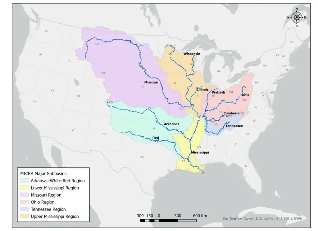 Bounty: Catch This Fish, Collect $100 - Wired2Fish